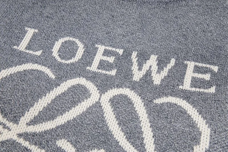 Top mirror Loewe Hoodies