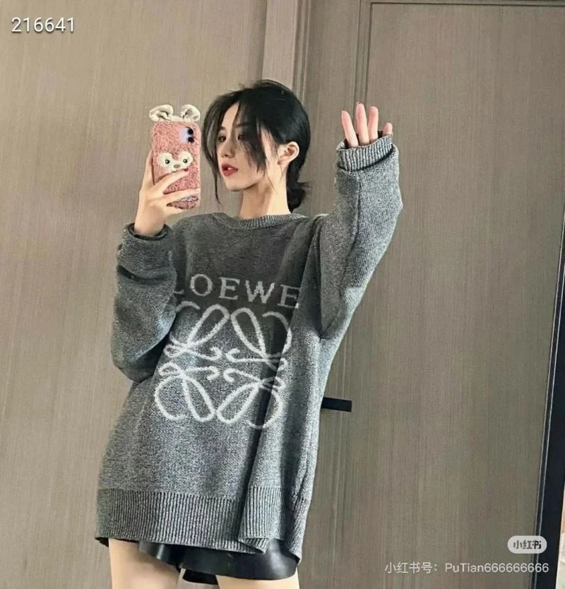Top mirror Loewe Hoodies