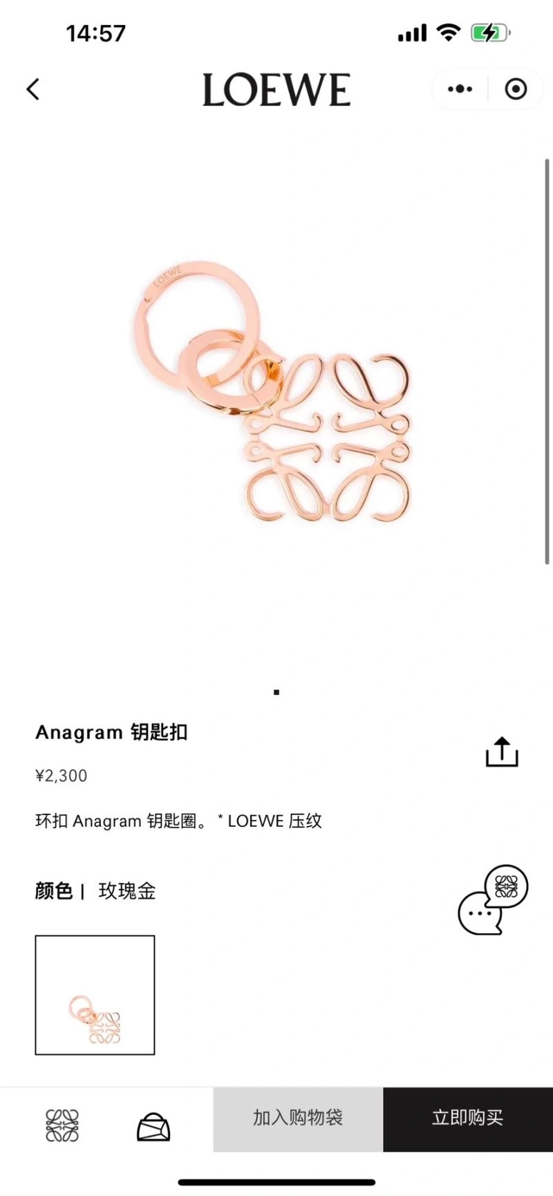 Loewe Keychains
