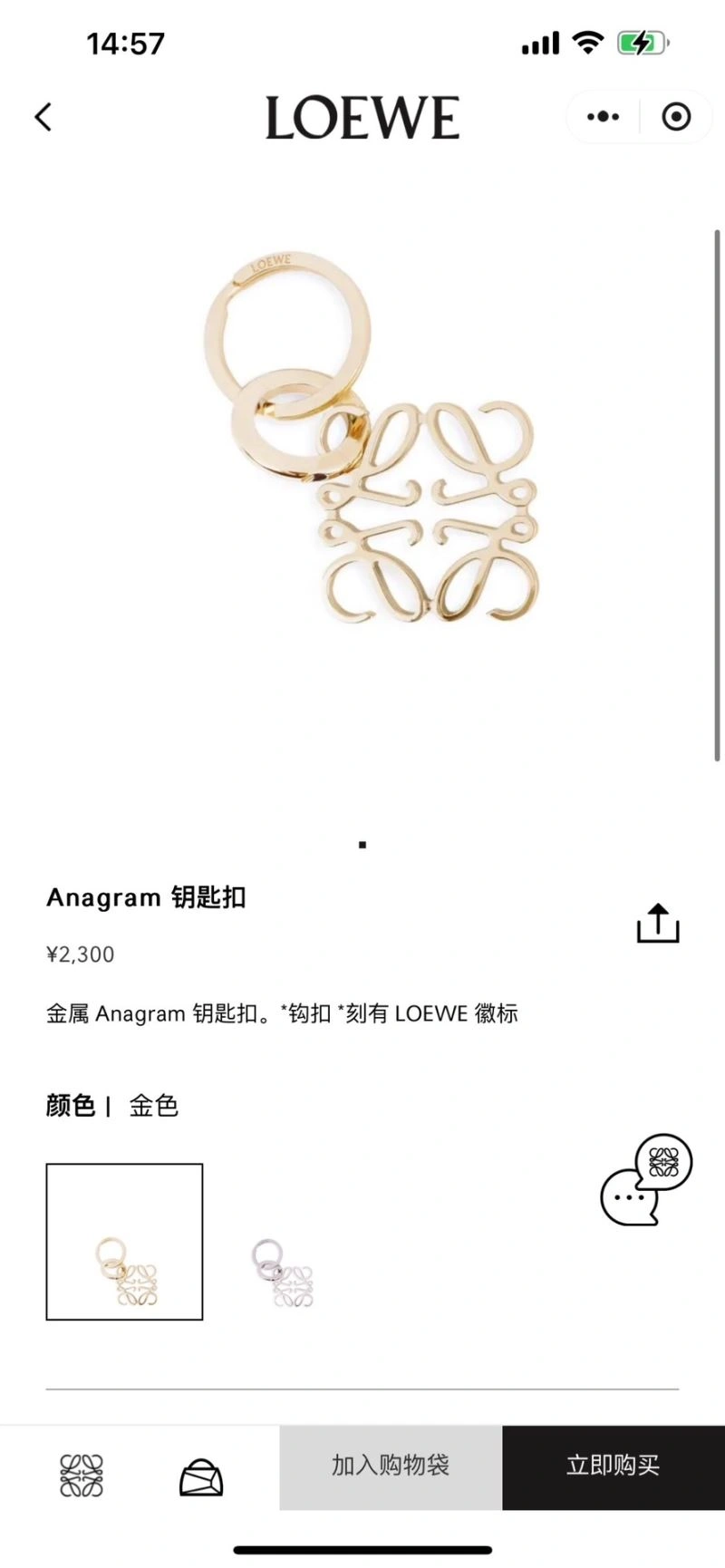 Official Loewe Keychains