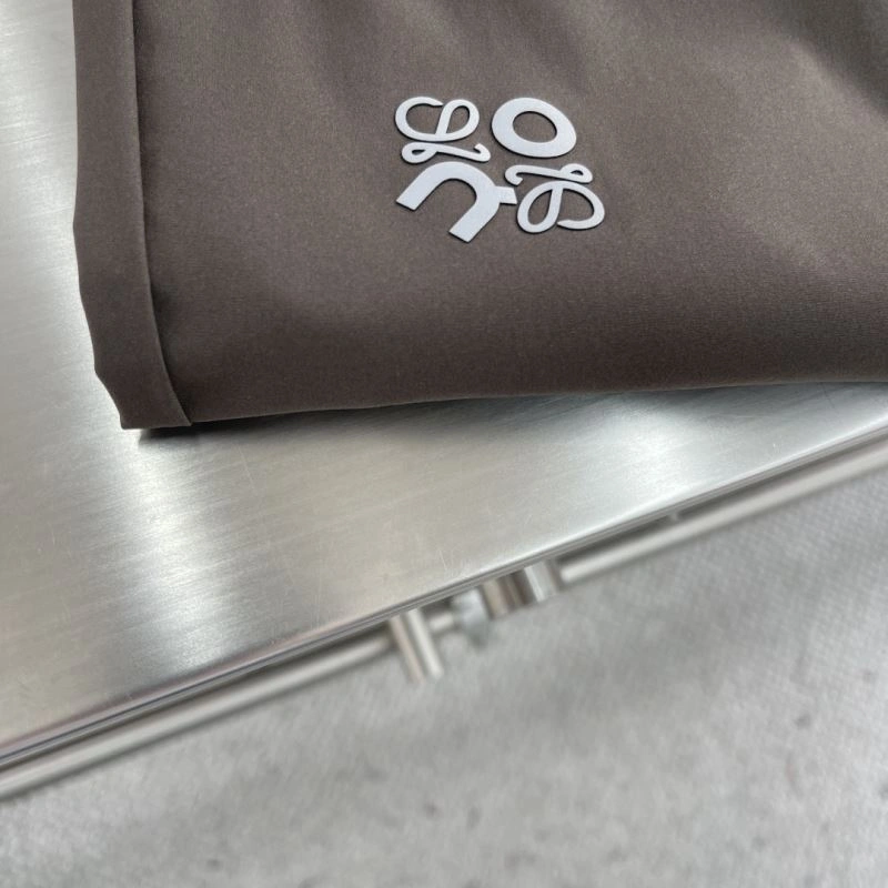 Indistinguishable Loewe Long Pants