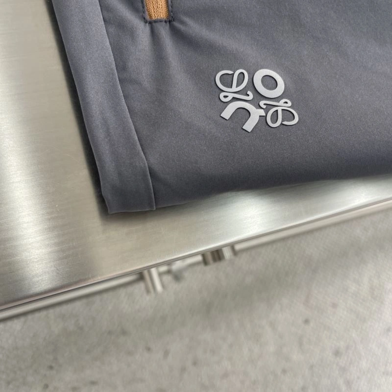 Indistinguishable Loewe Long Pants