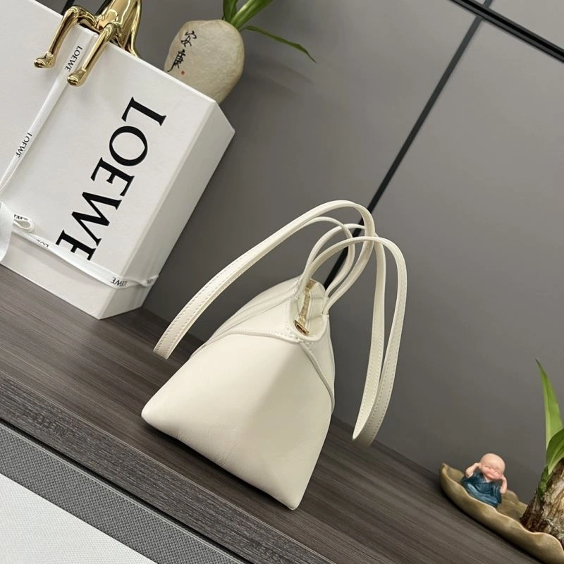 Indistinguishable Loewe Paseo Bags
