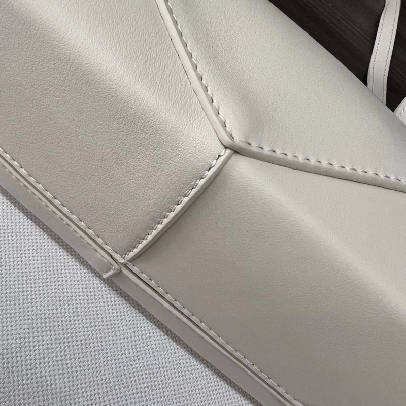 Indistinguishable Loewe Paseo Bags