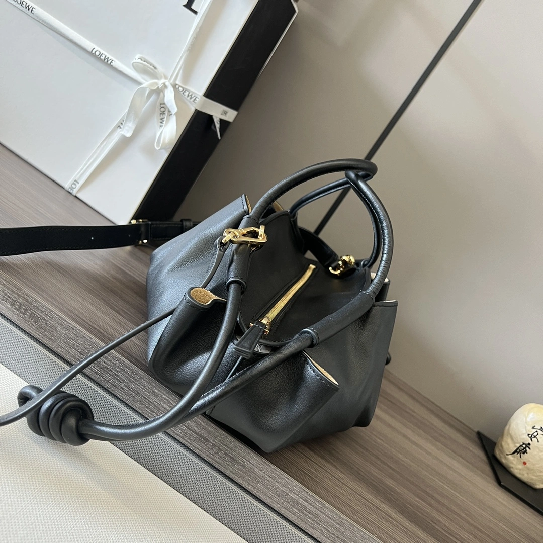 Indistinguishable Loewe Paseo Bags