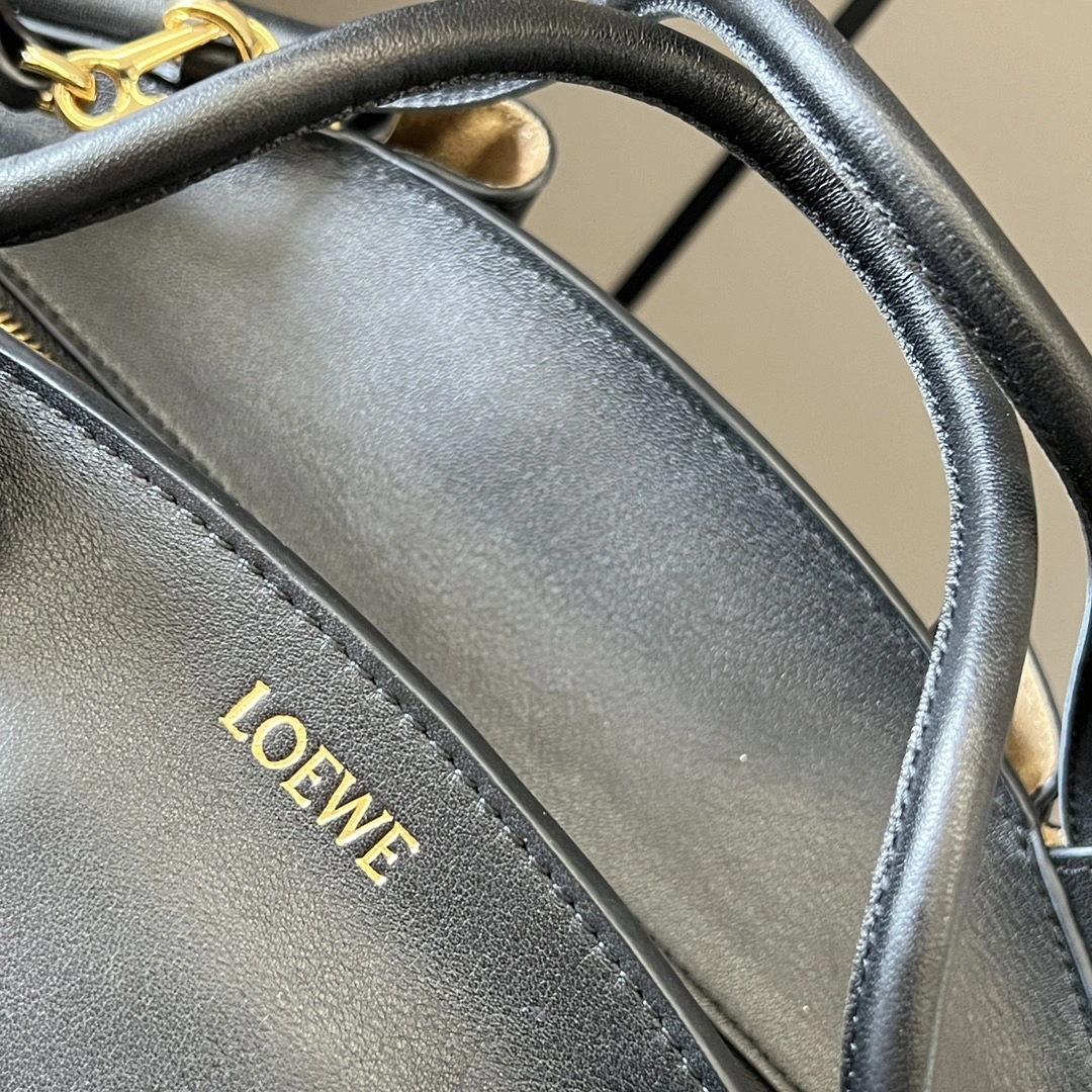 Indistinguishable Loewe Paseo Bags