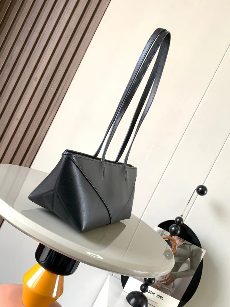 High fidelity Loewe Paseo Bags