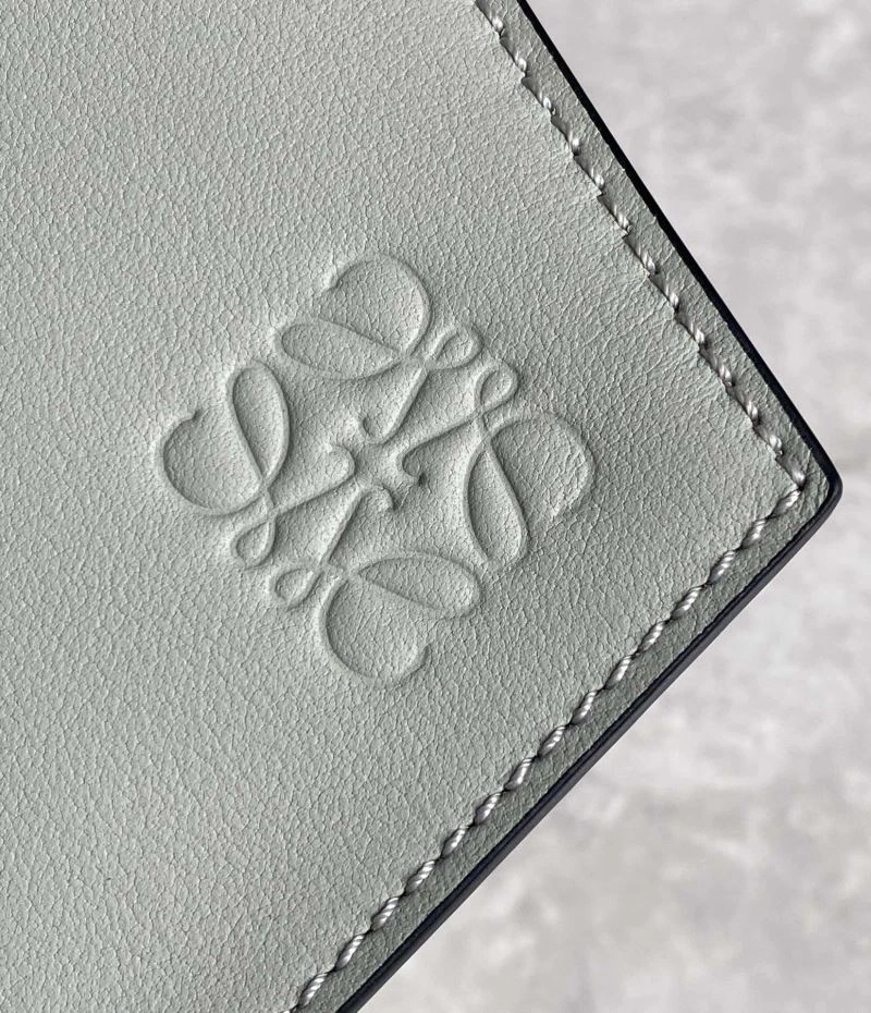 Indistinguishable Loewe Puzzle Bags