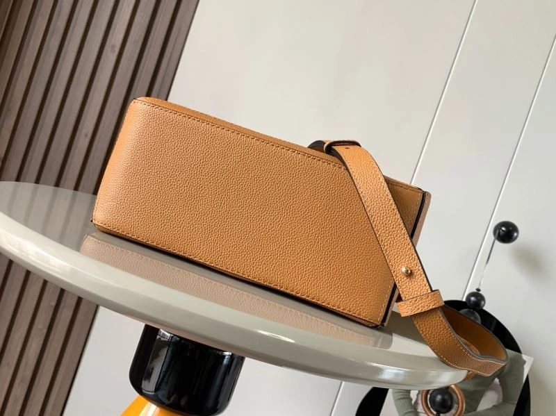 Legit Loewe Puzzle Bags
