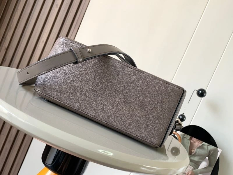 Mirror quality Loewe Puzzle Bags
