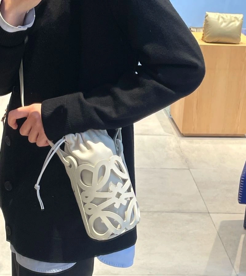 Indistinguishable Loewe Satchel Bags