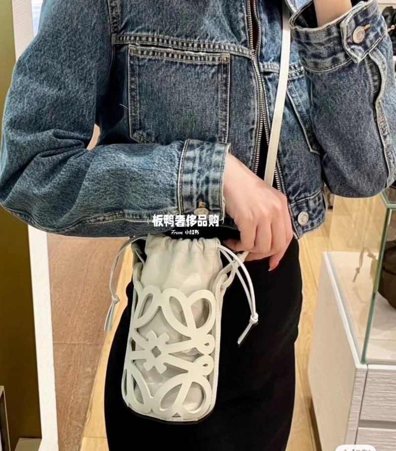 Indistinguishable Loewe Satchel Bags