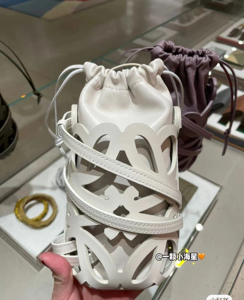 Indistinguishable Loewe Satchel Bags