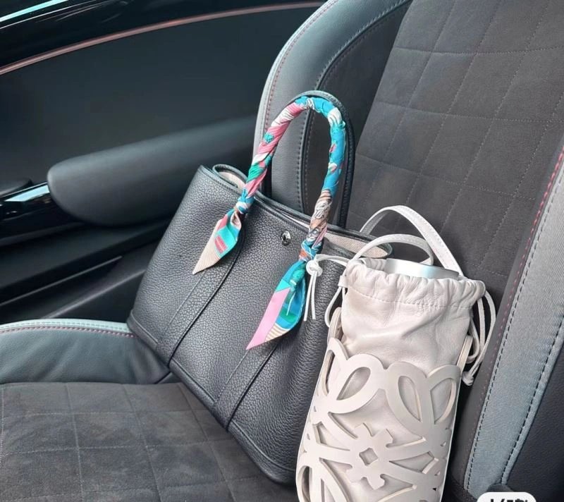 Indistinguishable Loewe Satchel Bags
