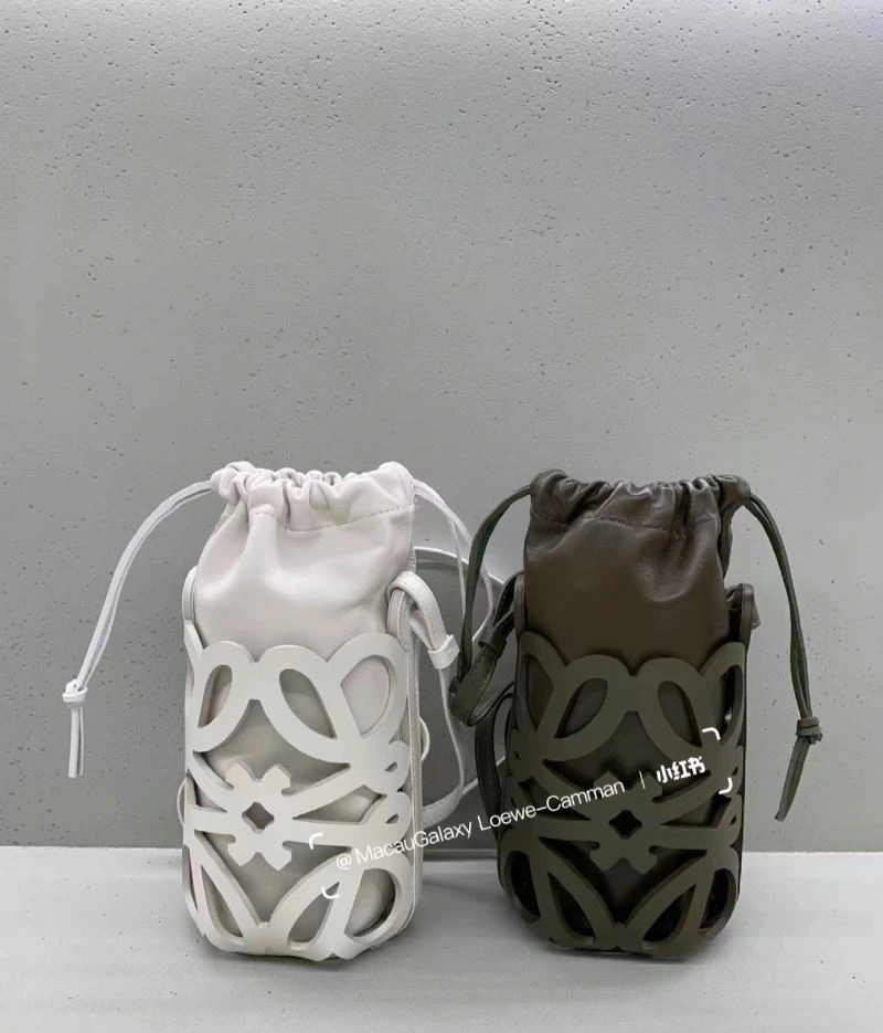 Indistinguishable Loewe Satchel Bags