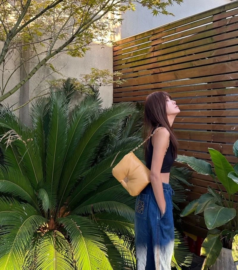 Indistinguishable Loewe Satchel Bags