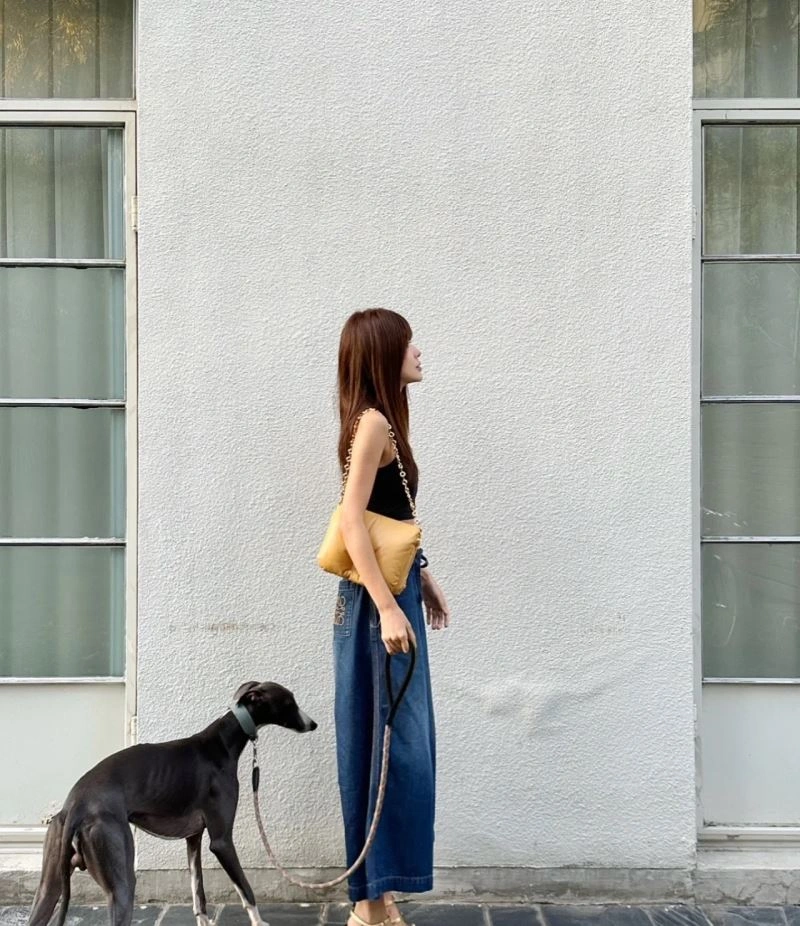 Indistinguishable Loewe Satchel Bags