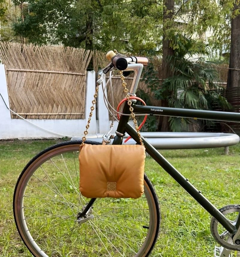 Indistinguishable Loewe Satchel Bags
