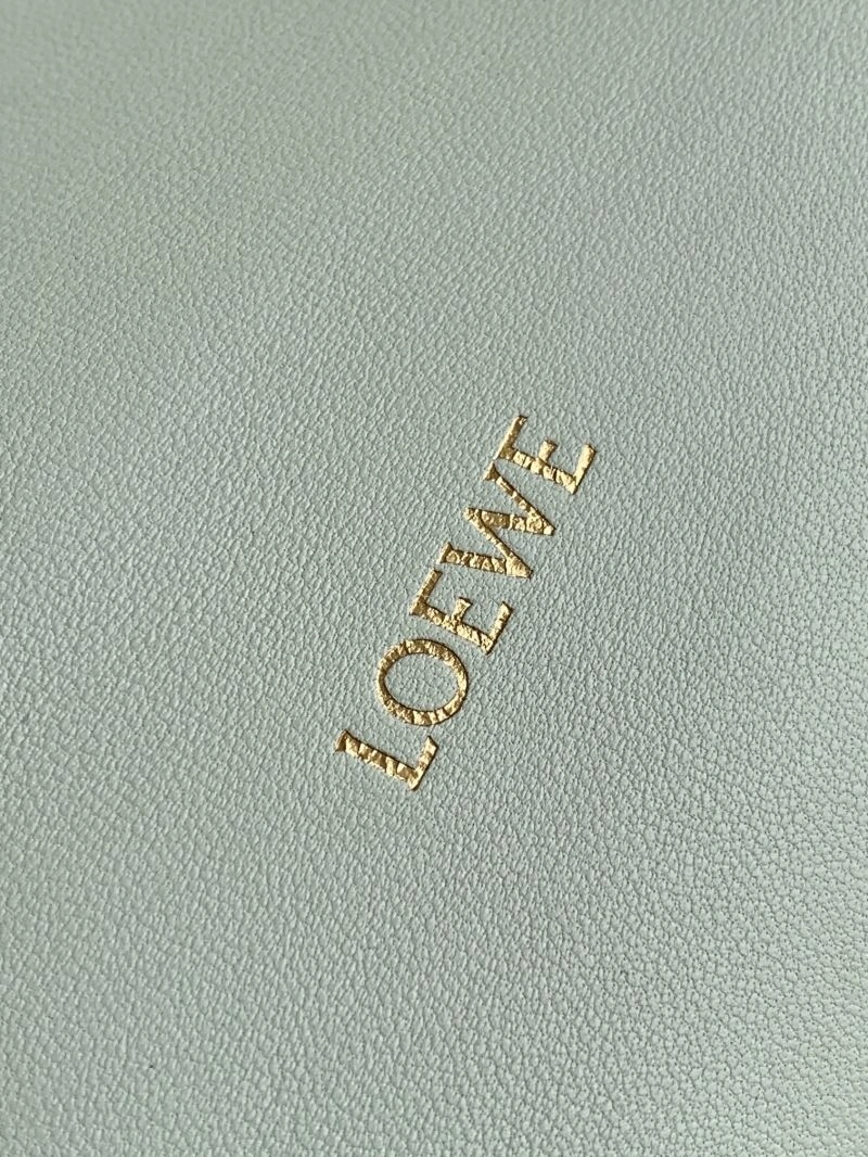Indistinguishable Loewe Satchel Bags