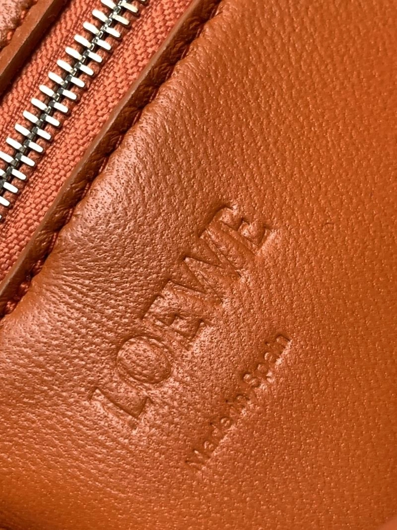 Indistinguishable Loewe Satchel Bags