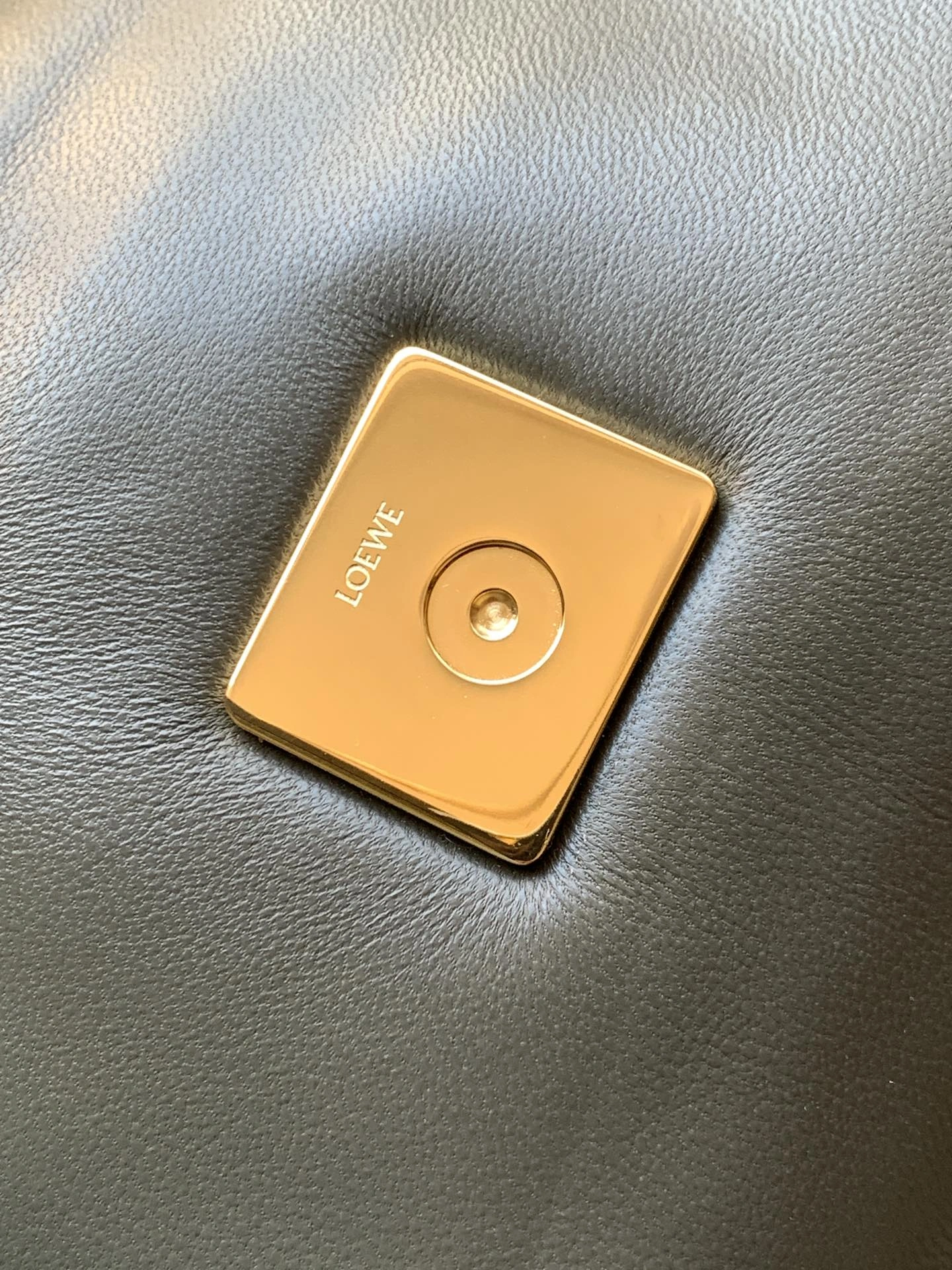 Indistinguishable Loewe Satchel Bags