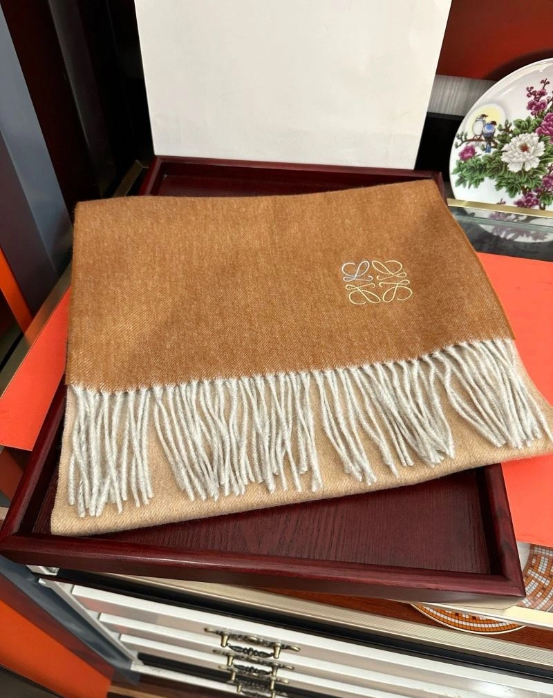 Value-priced Loewe Scarf