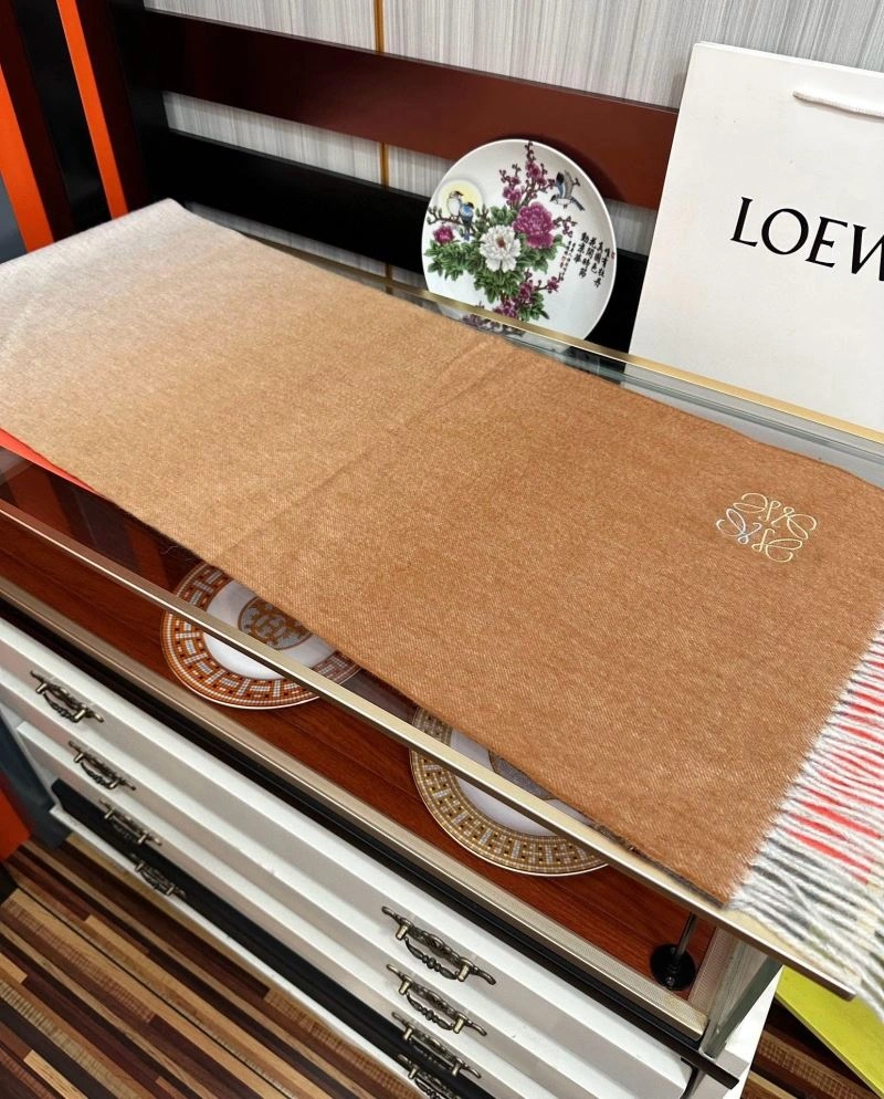 Value-priced Loewe Scarf