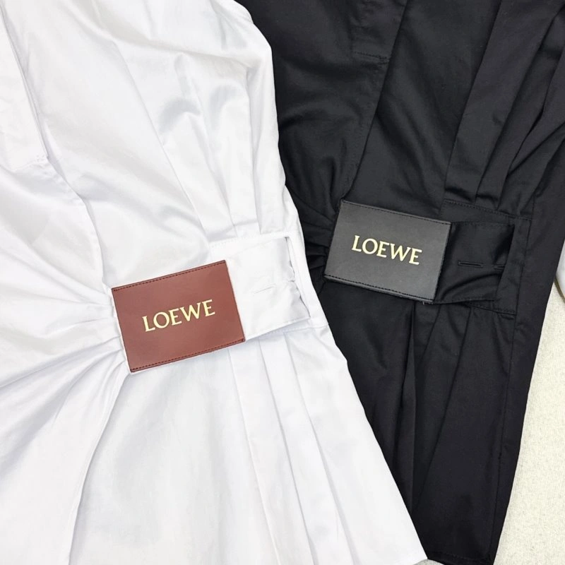 Reasonably priced Loewe Shirts