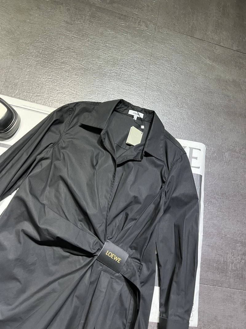 Reasonably priced Loewe Shirts