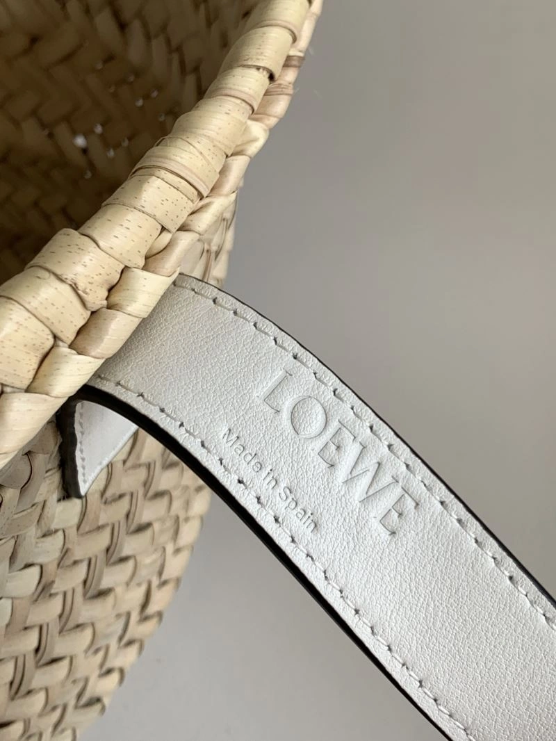Indistinguishable Loewe Shopping Bags