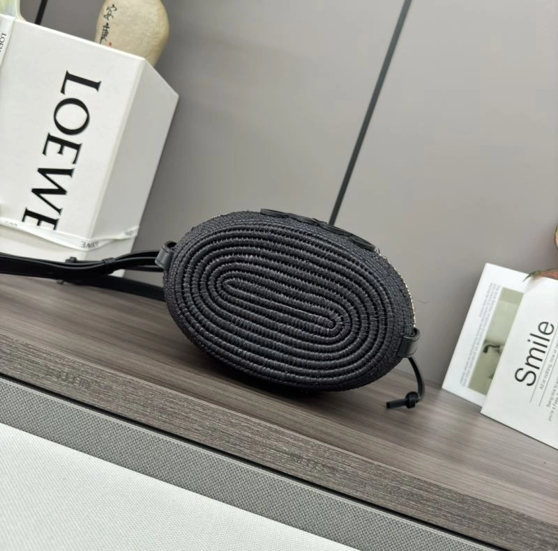 Low-cost Loewe Shopping Bags