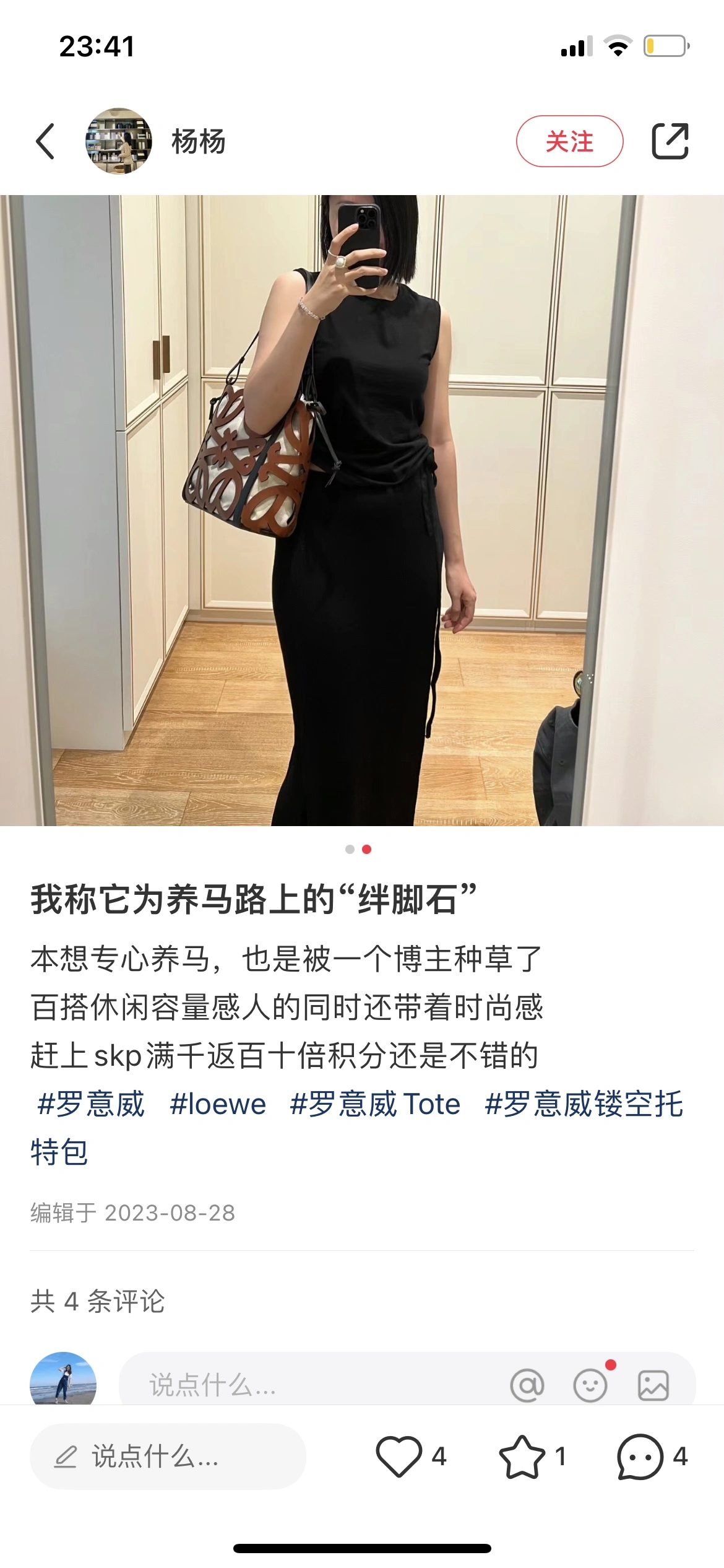 Precise copy Loewe Shopping Bags
