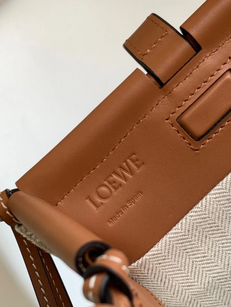 Indistinguishable Loewe Shopping Bags