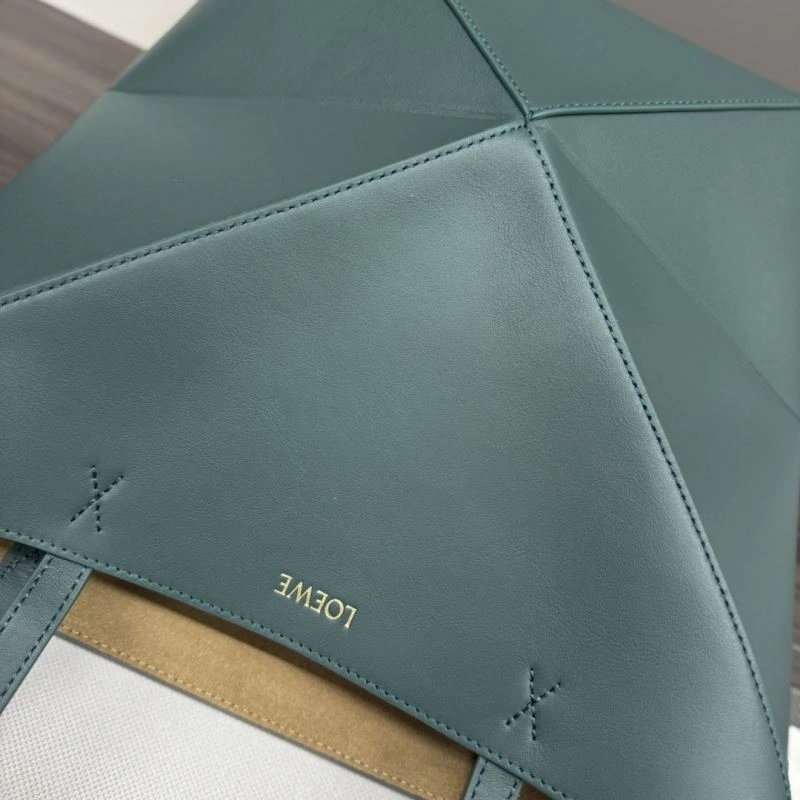 Reasonably priced Loewe Shopping Bags