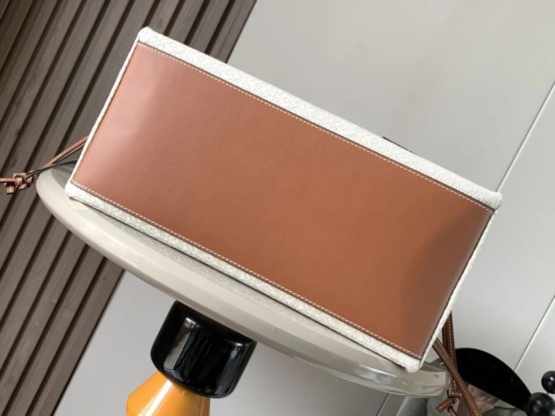 Low-cost Loewe Shopping Bags
