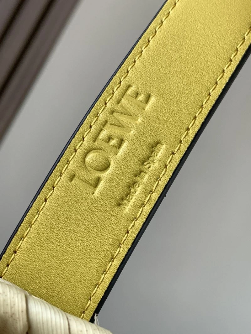 Reasonably priced Loewe Shopping Bags
