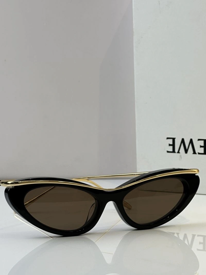 Economical Loewe Sunglasses