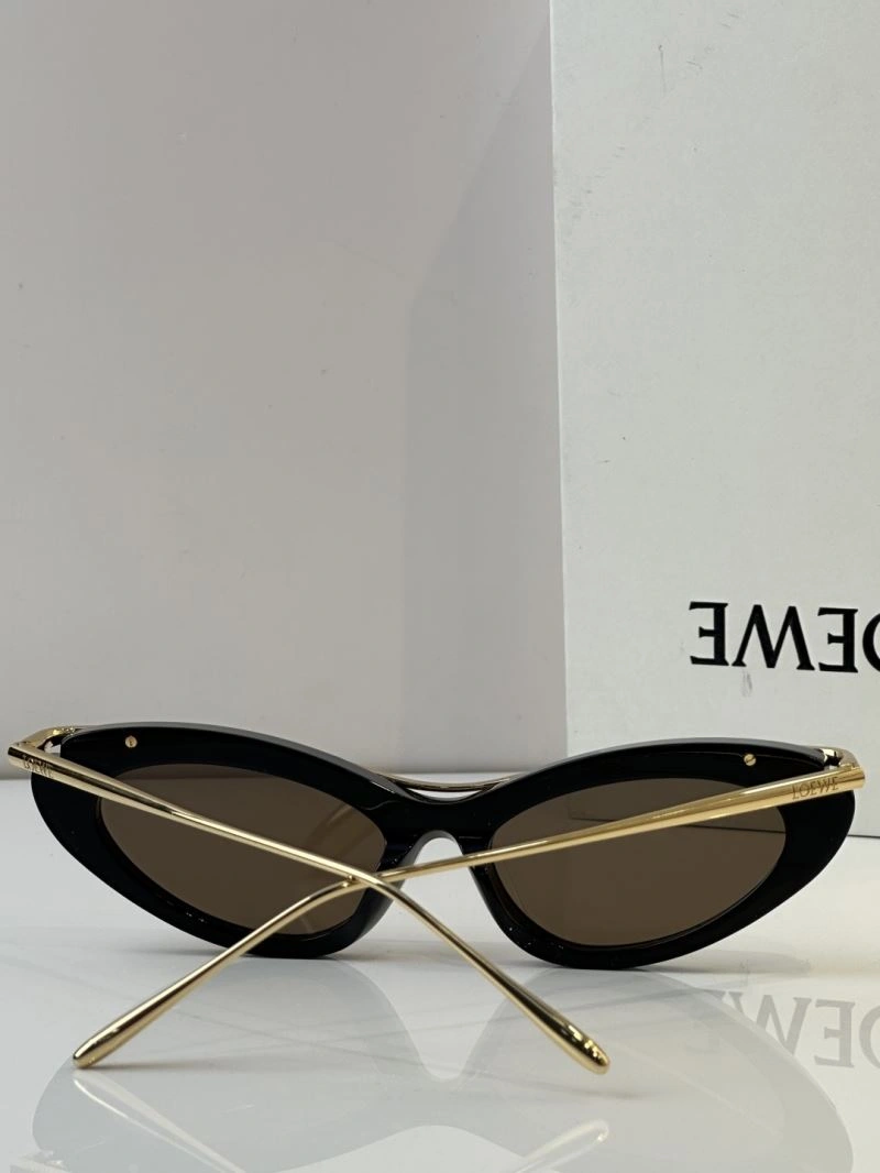 Economical Loewe Sunglasses