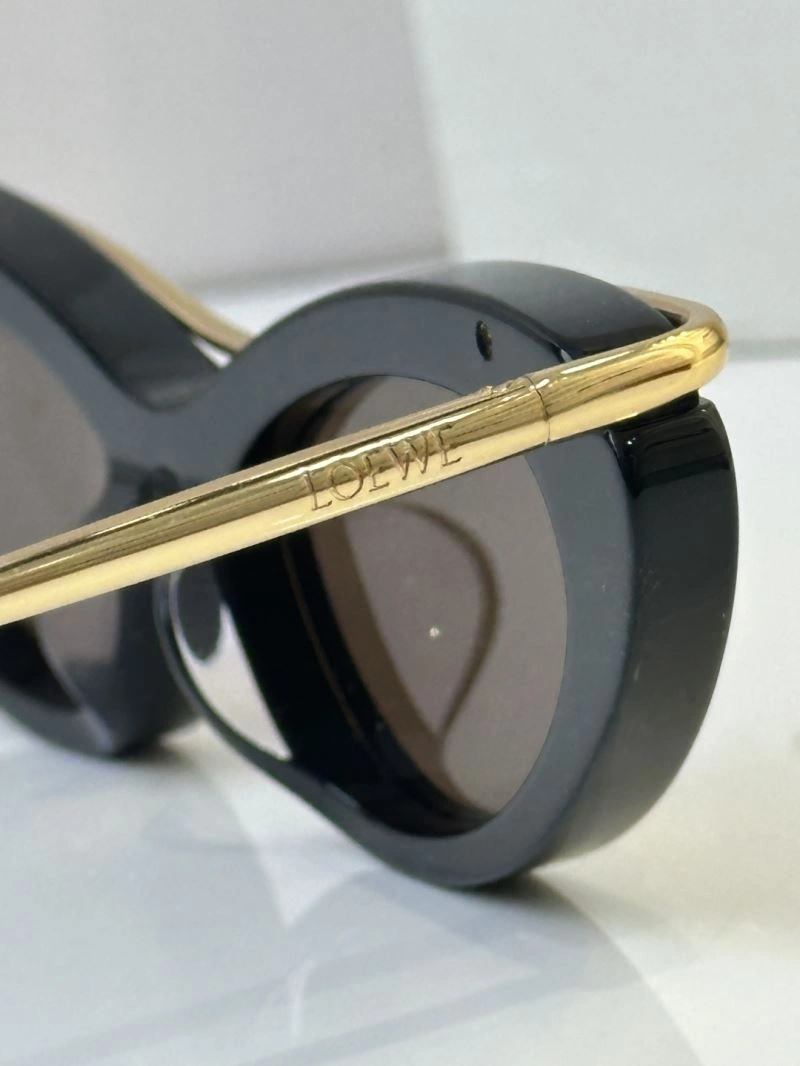 Economical Loewe Sunglasses