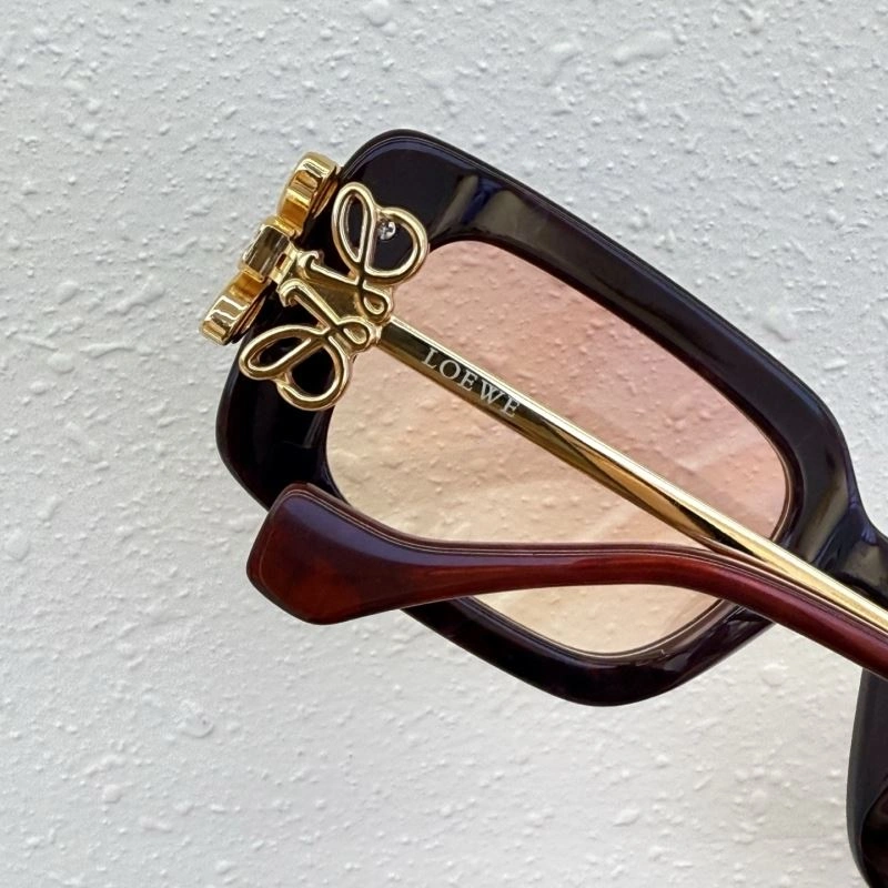 Indistinguishable Loewe Sunglasses