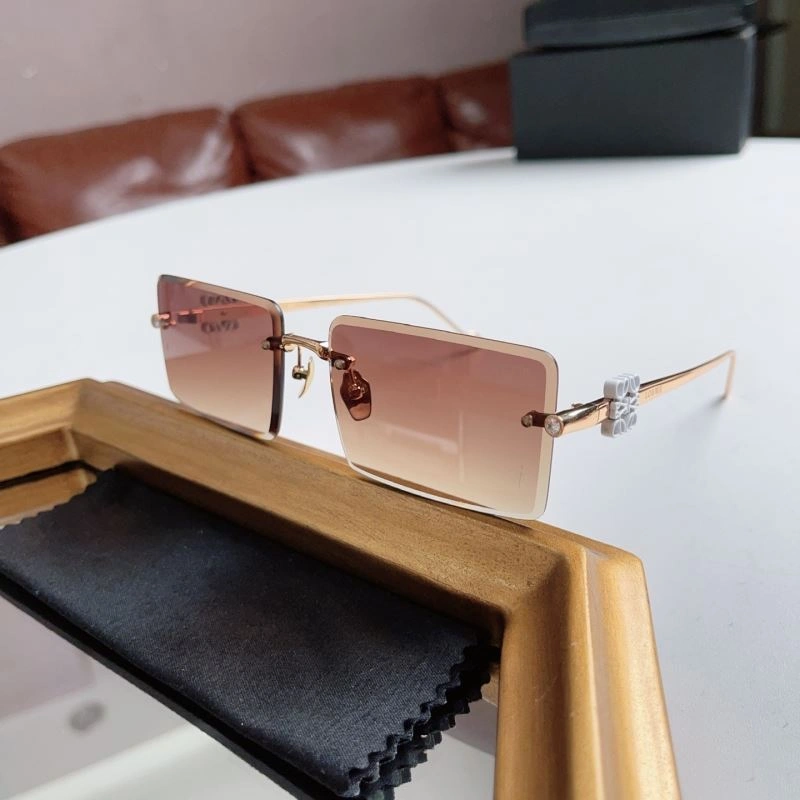 Bargain Loewe Sunglasses