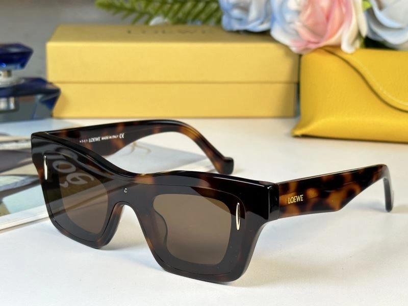 High accuracy Loewe Sunglasses