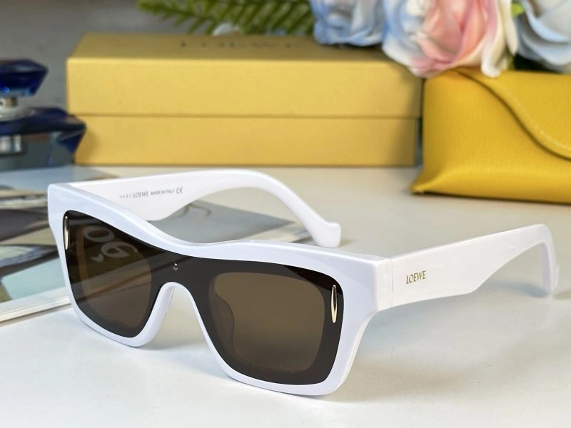 High accuracy Loewe Sunglasses