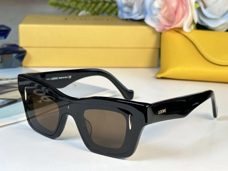 High accuracy Loewe Sunglasses