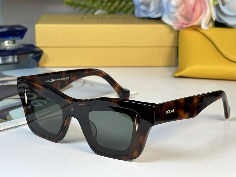 High accuracy Loewe Sunglasses