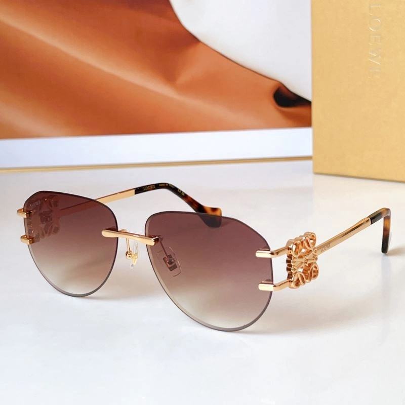 Indistinguishable Loewe Sunglasses