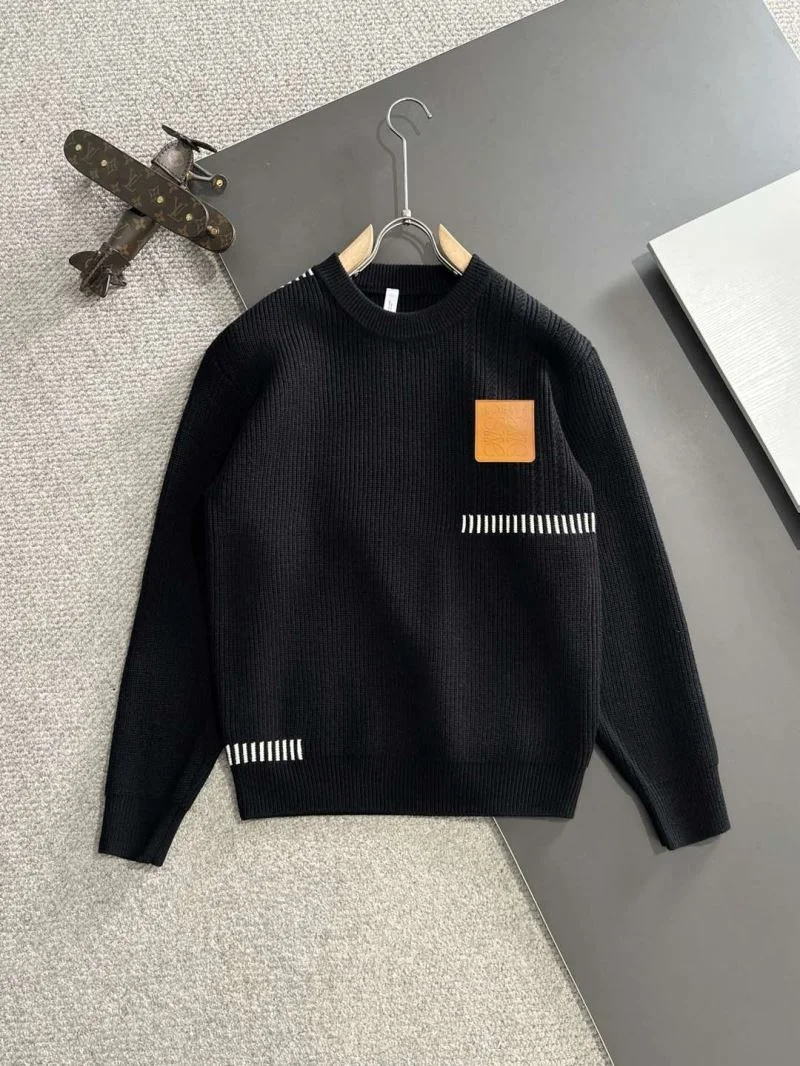 Loewe Sweaters