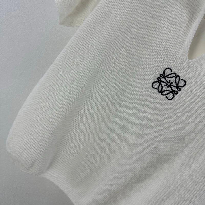 Precise copy Loewe Sweaters