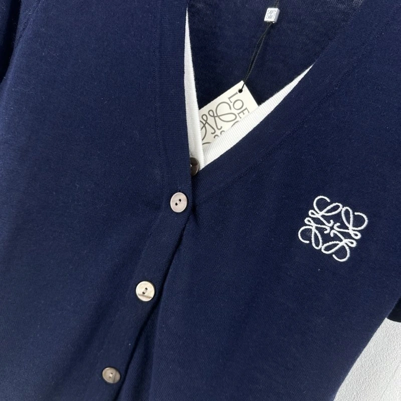 1:1 copy Loewe Sweaters