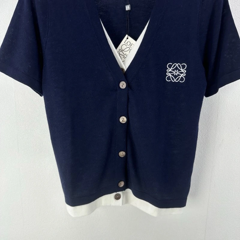1:1 copy Loewe Sweaters